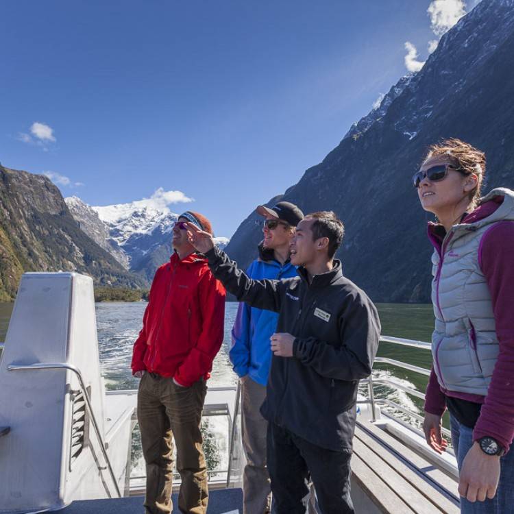 Milford Sound Coach, Cruise and Walk | Trips & Tramps