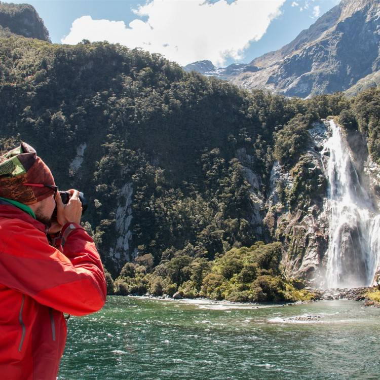Milford Sound Coach, Cruise and Walk | Trips & Tramps