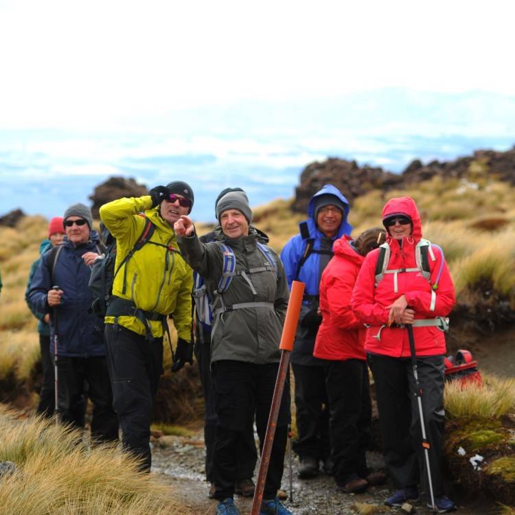 Kepler Track Guided Day Heli Hike - Trips & Tramps