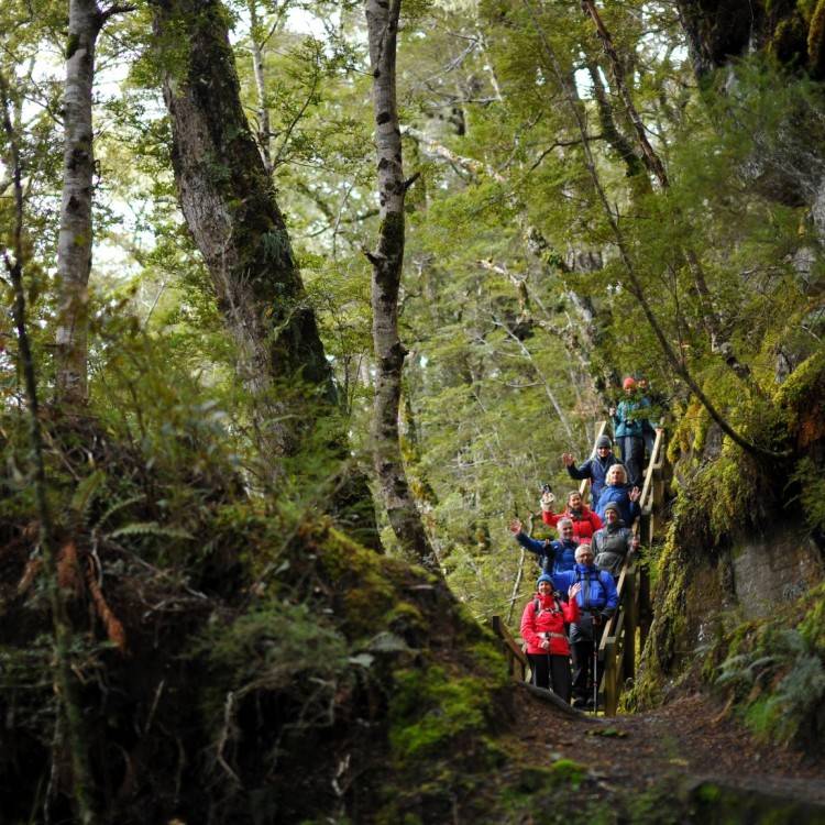Kepler Track Guided Day Heli Hike - Trips & Tramps