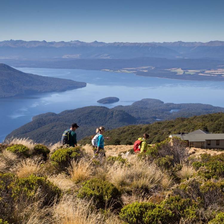 Kepler Track Guided Day Heli Hike - Trips & Tramps