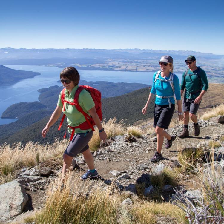 Kepler Track Guided Day Heli Hike - Trips & Tramps