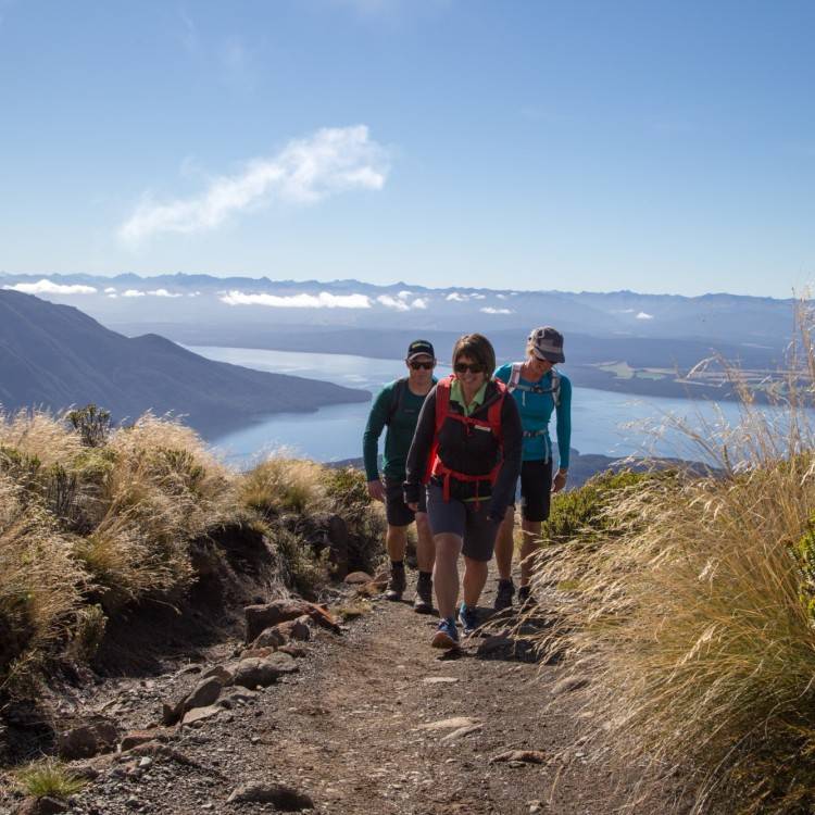 Kepler Track Guided Day Heli Hike - Trips & Tramps