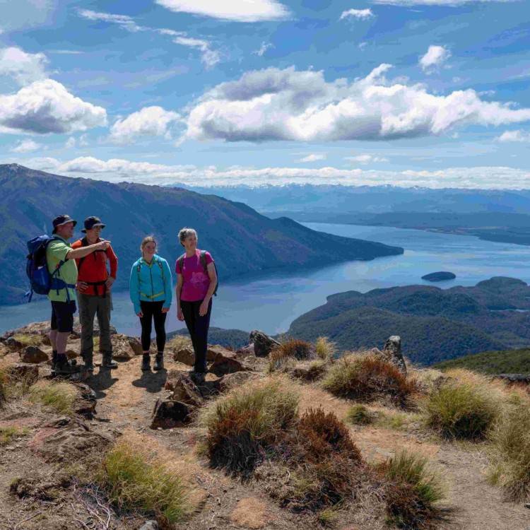 Kepler Track Guided Day Heli Hike - Trips & Tramps