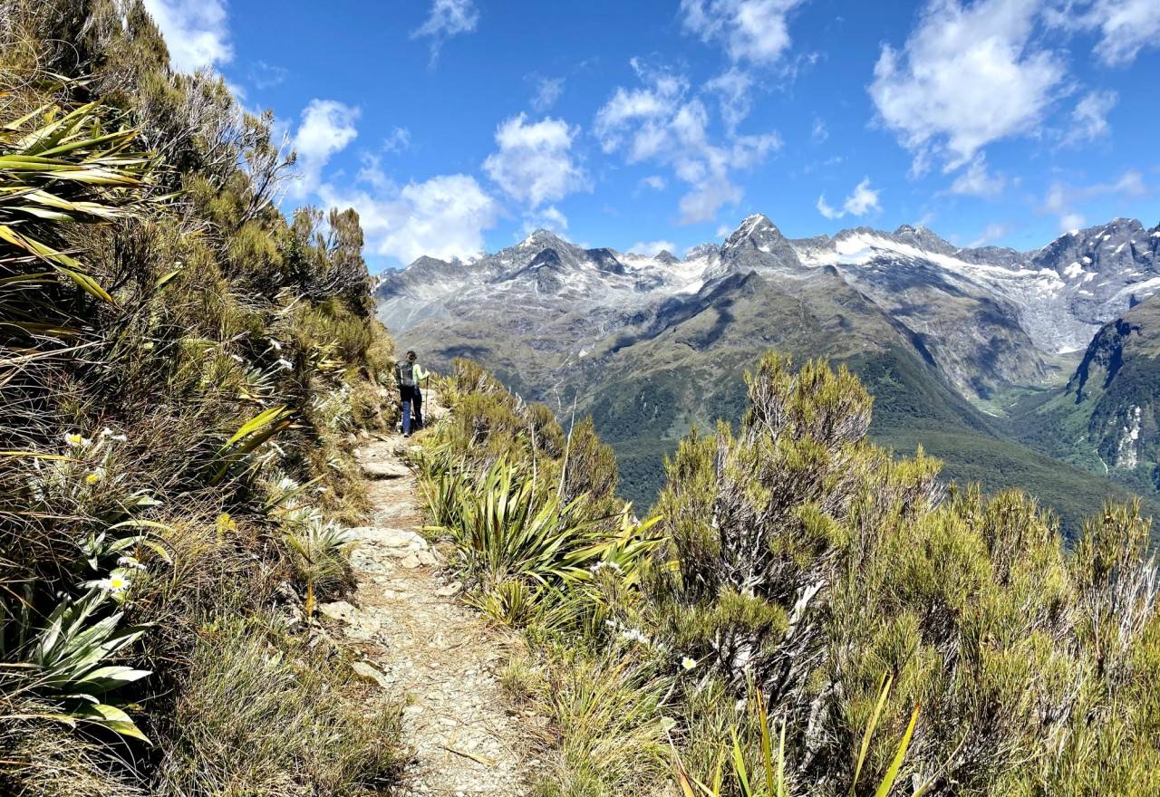Routeburn Track in different seasons: What to Expect - Trips & Tramps