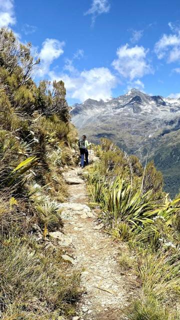 Routeburn Track in different seasons: What to Expect - Trips & Tramps