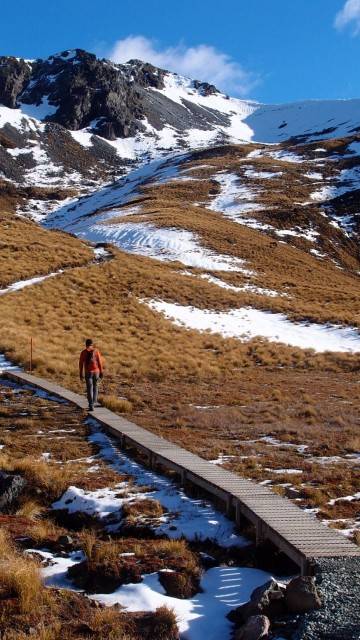 Kepler Track: Tips for a Successful Hike - Trips & Tramps