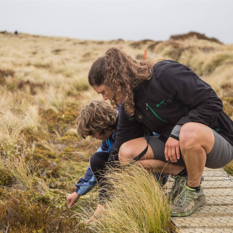 Kepler Track Guided Day Heli Hike - Trips & Tramps