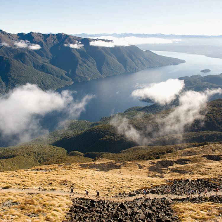 Kepler Track Guided Day Heli Hike - Trips & Tramps