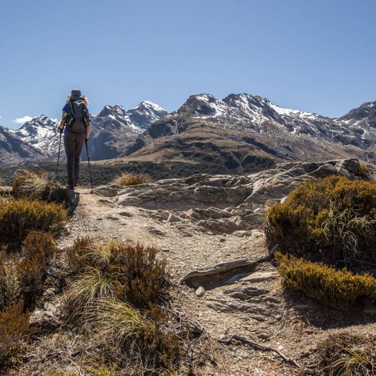 Routeburn Track Guided Walk - Trips & Tramps