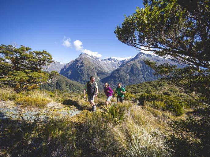 Fiordland Guided Walks - Trips & Tramps