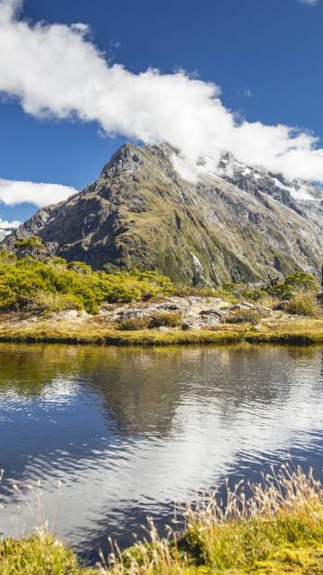 Things we love about hiking in Fiordland during spring - Trips & Tramps