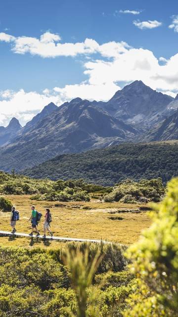 Routeburn Track Guided Walk - Trips & Tramps