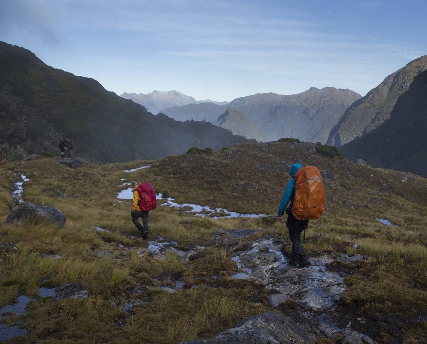 Dusky Track: The Details! - Trips & Tramps