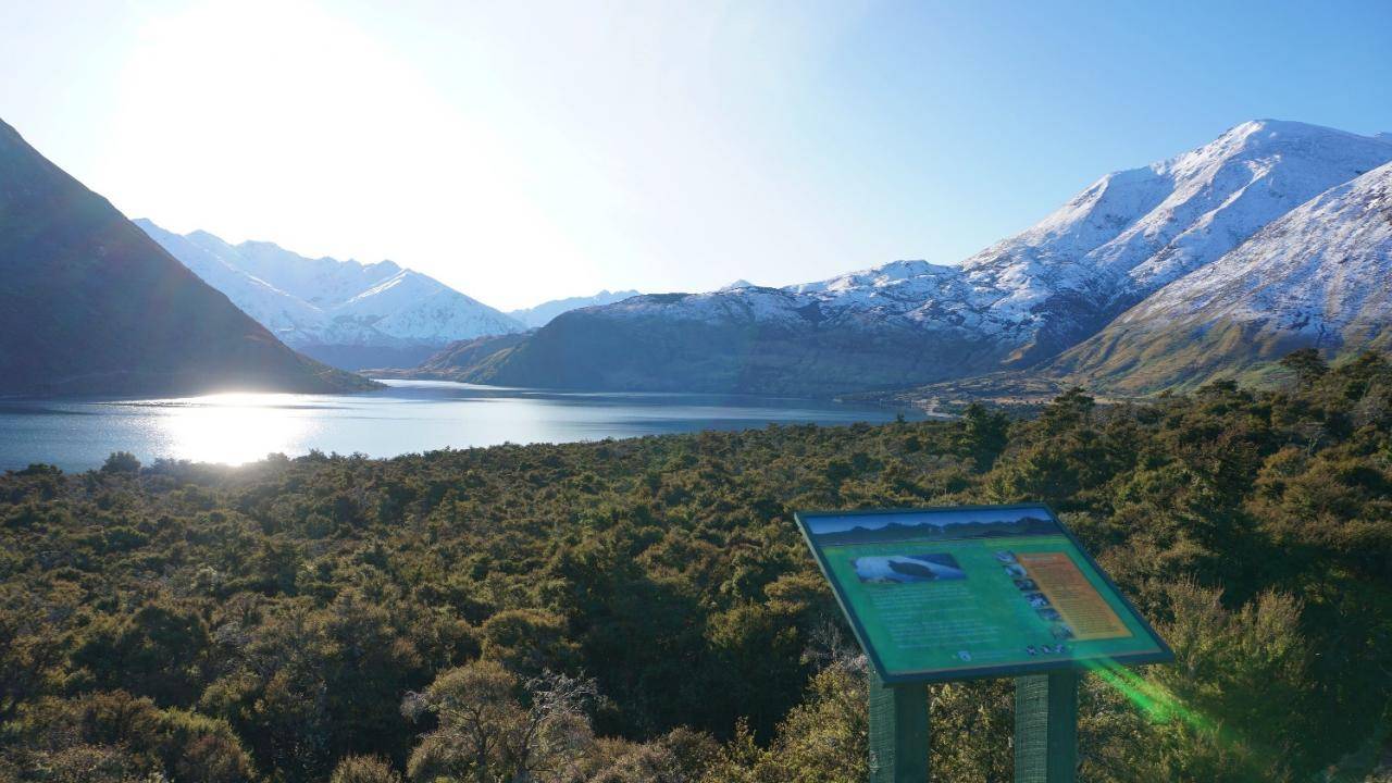 Stevensons Island Cruise & Nature Walk - 2 Hrs - Lake Wanaka Cruises