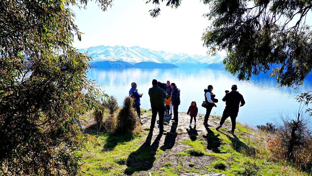 Ruby Island Cruise & Photo Walk - 1 Hr - Lake Wanaka Cruises