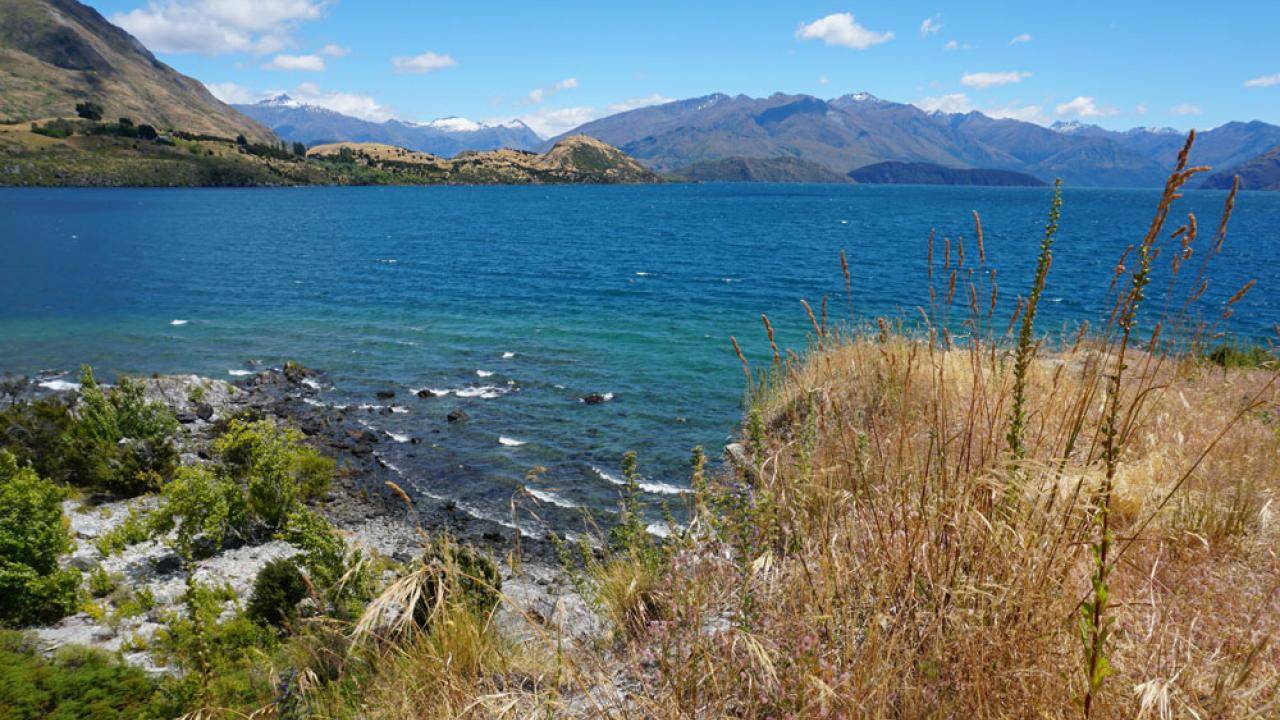 Ruby Island Cruise & Photo Walk - 1 Hr - Lake Wanaka Cruises