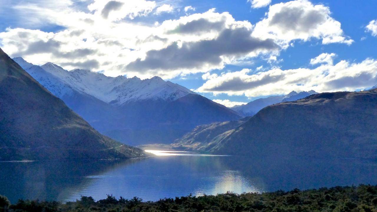 Stevensons Island Cruise & Nature Walk - 2 Hrs - Lake Wanaka Cruises