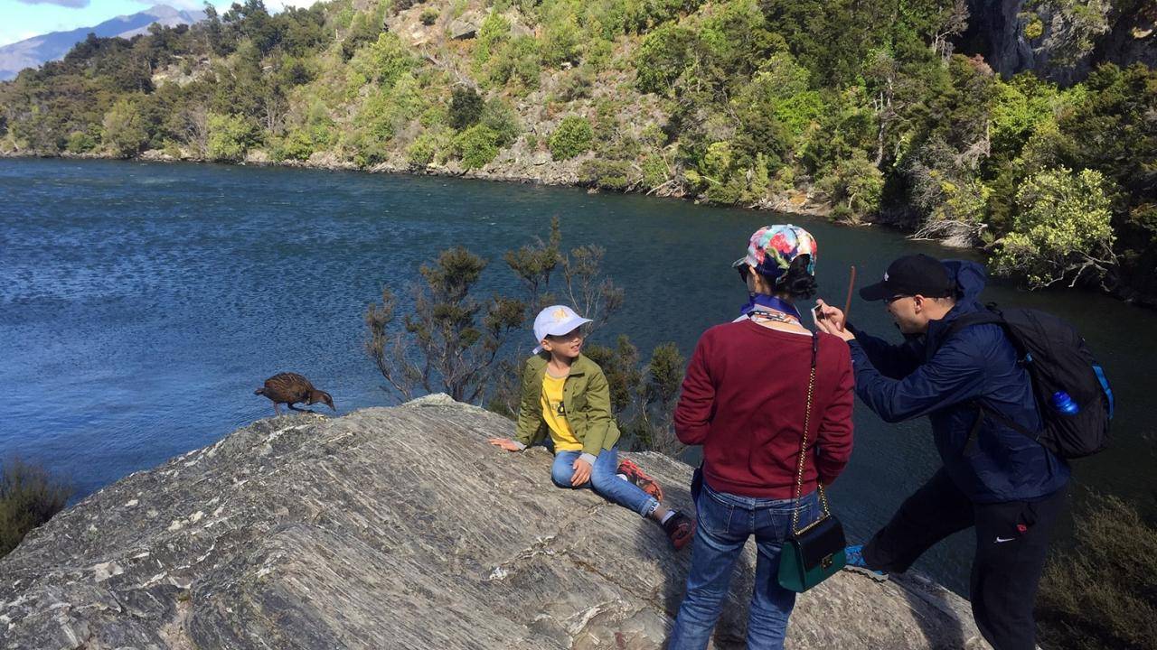 Mou Waho Island Cruise & Nature Walk - 3 Hrs - Lake Wanaka Cruises