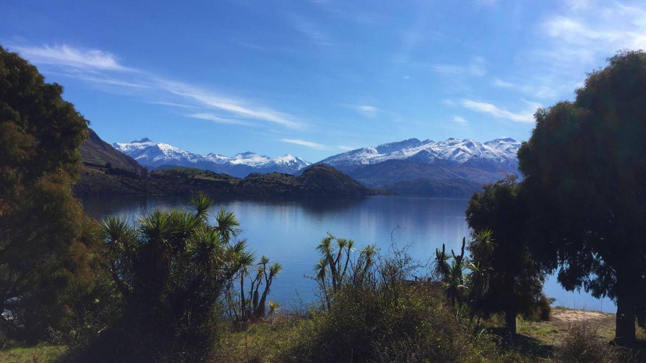 Ruby Island Cruise & Photo Walk - 1 Hr - Lake Wanaka Cruises