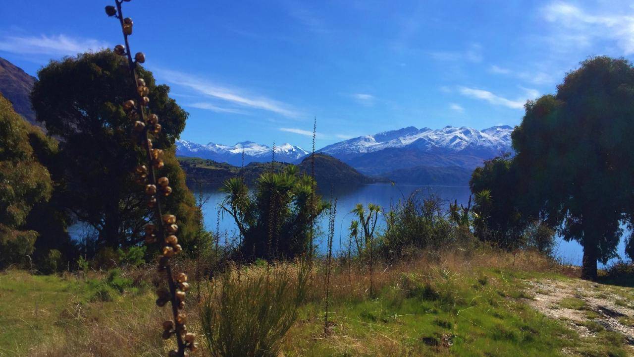 Ruby Island Cruise & Photo Walk - 1 Hr - Lake Wanaka Cruises