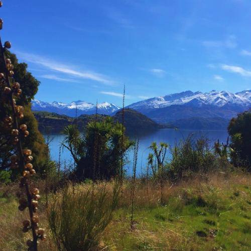Ruby Island Cruise & Photo Walk - 1 Hr - Lake Wanaka Cruises