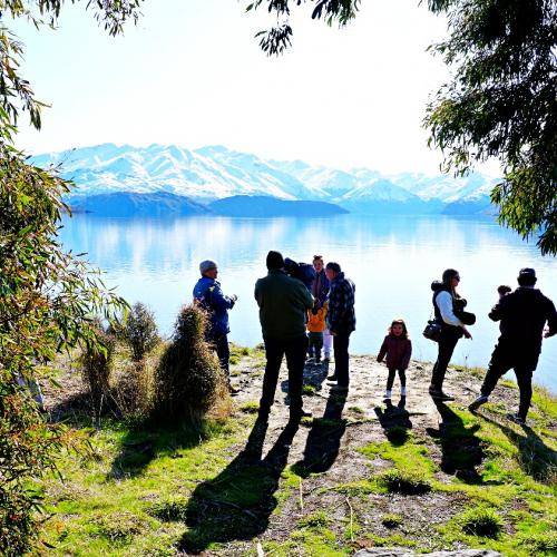 Ruby Island Cruise & Photo Walk - 1 Hr - Lake Wanaka Cruises