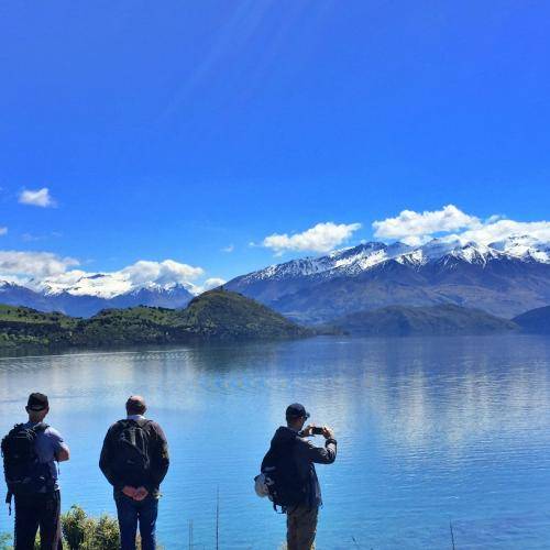 Ruby Island Cruise & Photo Walk - 1 Hr - Lake Wanaka Cruises