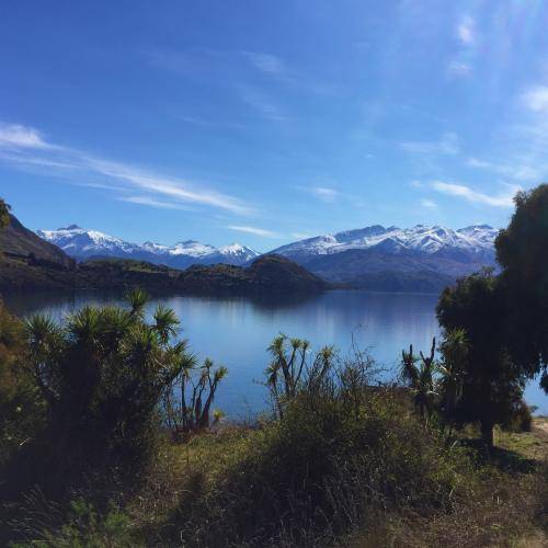 Ruby Island Cruise & Photo Walk - 1 Hr - Lake Wanaka Cruises